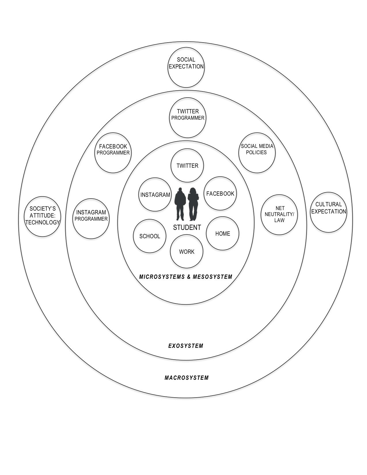 Ecological Systems Theory Examples